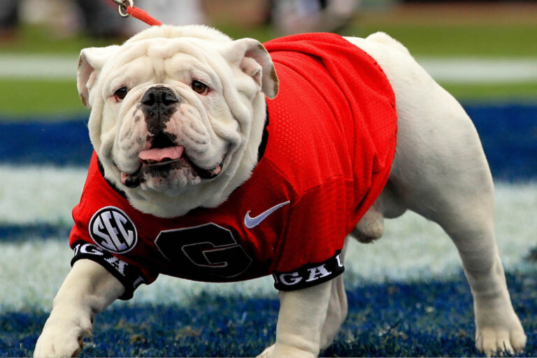 32 College Mascots That Are Dogs – And Some Fun Facts! – Just Dog People