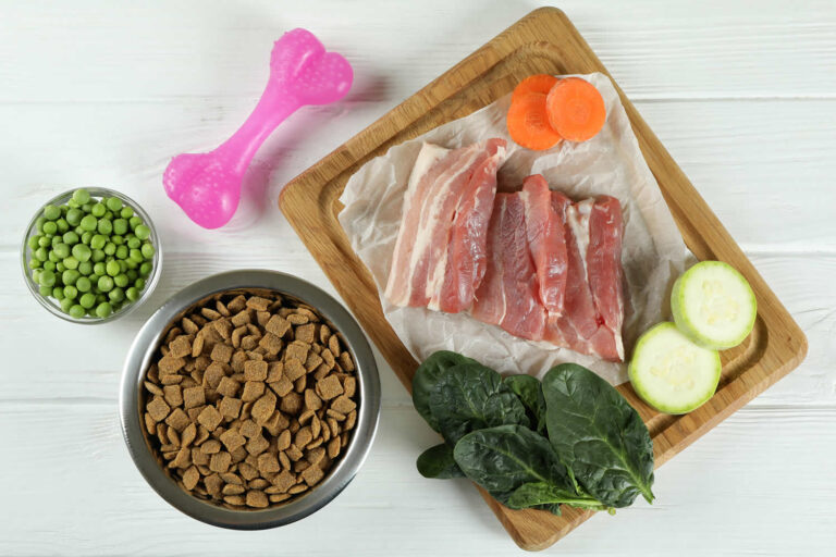 The JDP Food Pyramid – Raw, Gently Cooked & Biologically Appropriate ...